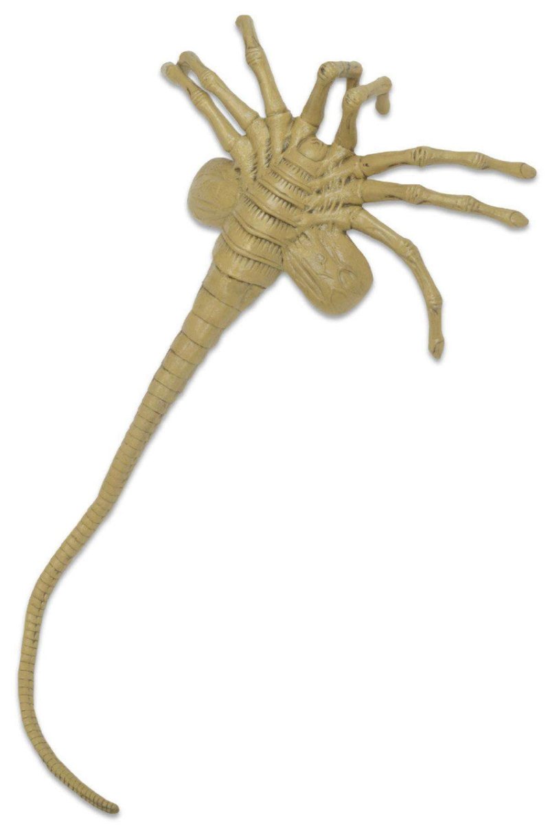 Alien: Facehugger - Life-size Prop Replica - NECA – The Last Toy Store