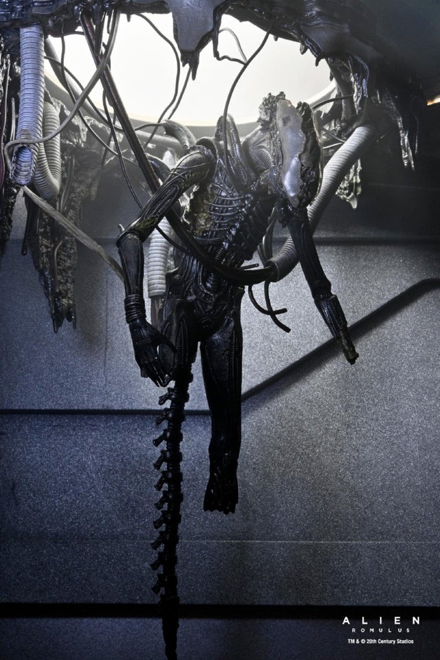 Alien: Romulus: Deluxe Suspended Lab Xenomorph XX121 - 7" Scale Figure ...
