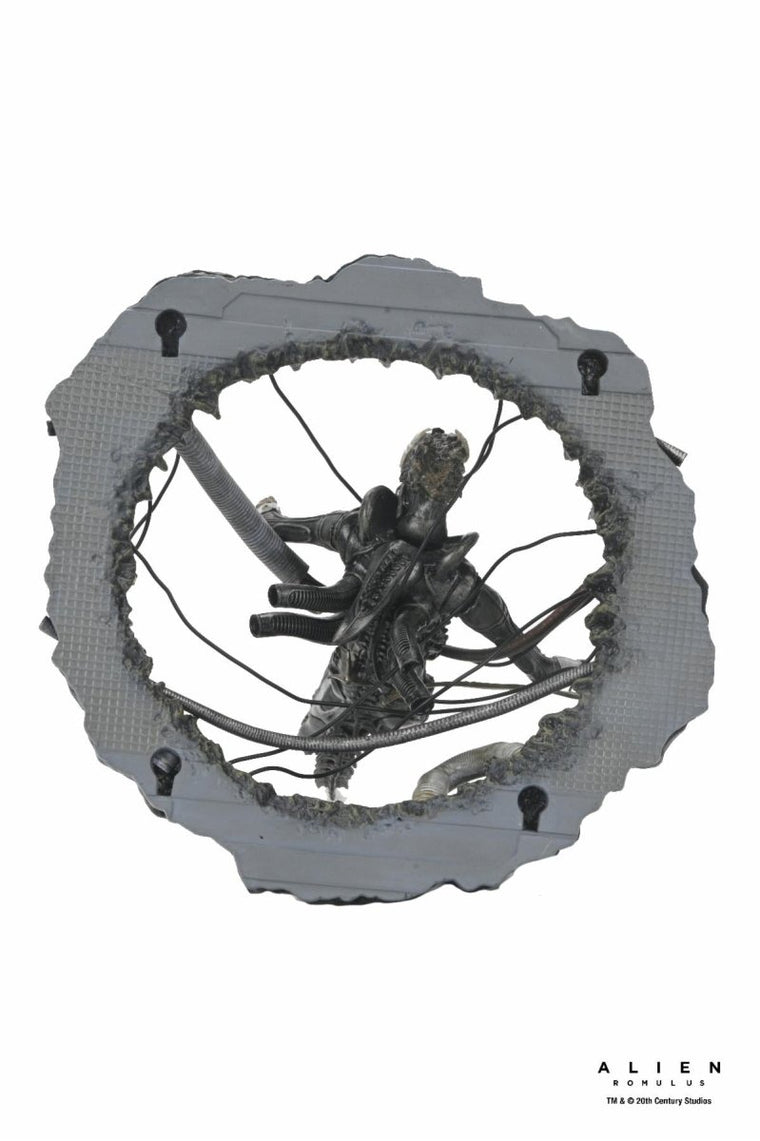 Alien: Romulus: Deluxe Suspended Lab Xenomorph XX121 - 7" Scale Figure ...