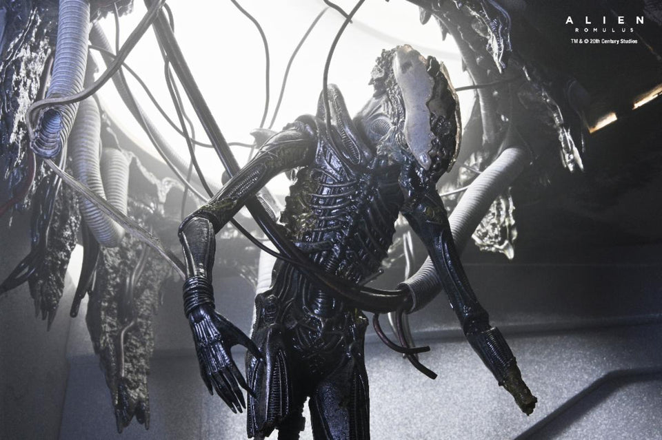 Alien: Romulus: Deluxe Suspended Lab Xenomorph XX121 - 7" Scale Figure ...