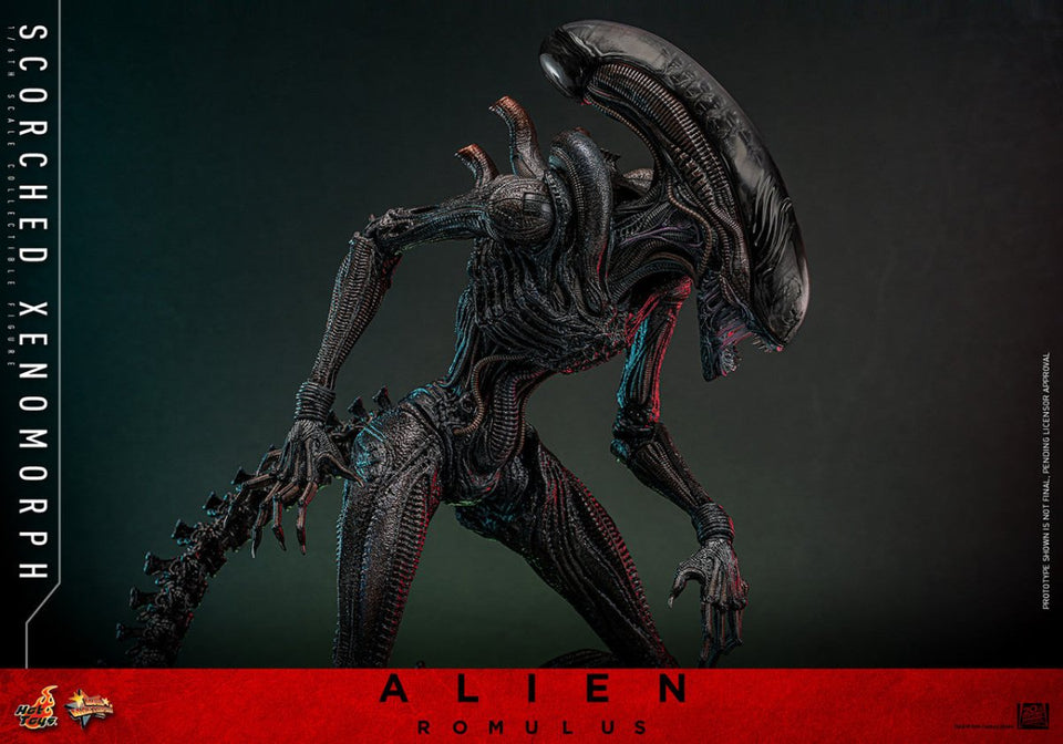 Alien Romulus: Scorched Xenomorph - 1/6 Scale Figure - Hot Toys – The ...