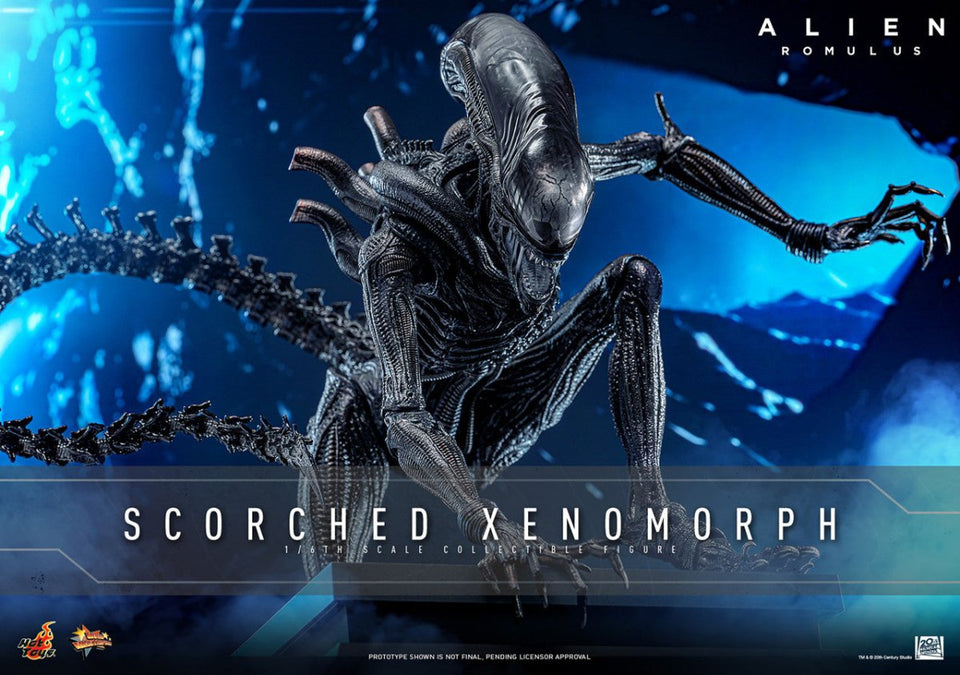 Alien Romulus: Scorched Xenomorph - 1/6 Scale Figure - Hot Toys – The ...